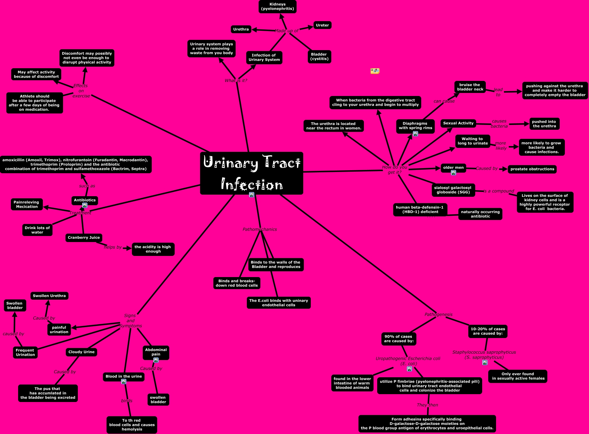 Urinary Tract Infection